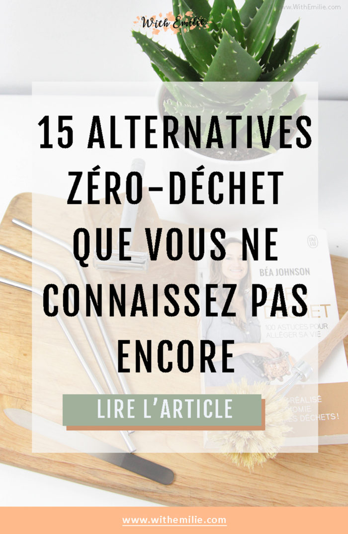 15 alternatives réutilisables que vous ne connaissez pas | With Emilie ...